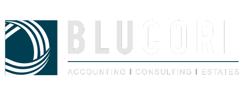 Our Services – BluCore Accountants